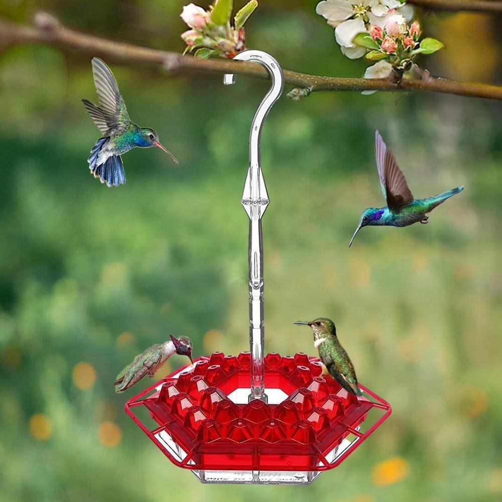 Hummingbird Feeder With Perch And Built-in Ant Moat – Nimebrand