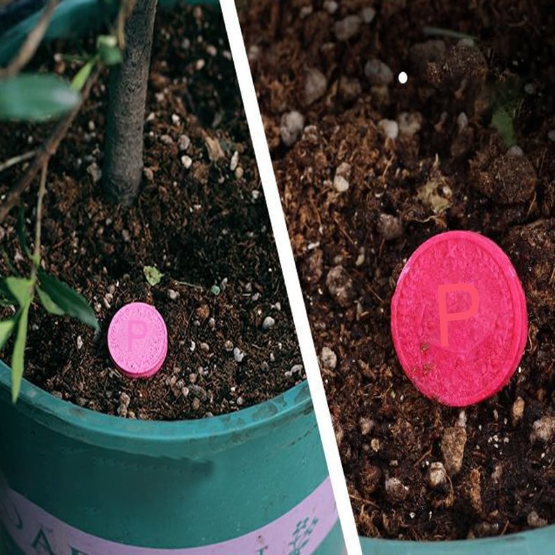 Slow release organic fertilizer in tablets – Nimebrand